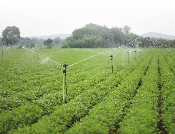 Mini Sprinkler – A Boon for Root & Tuberous Crops