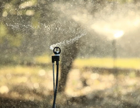 How do Sprinkler Irrigation Systems Work?